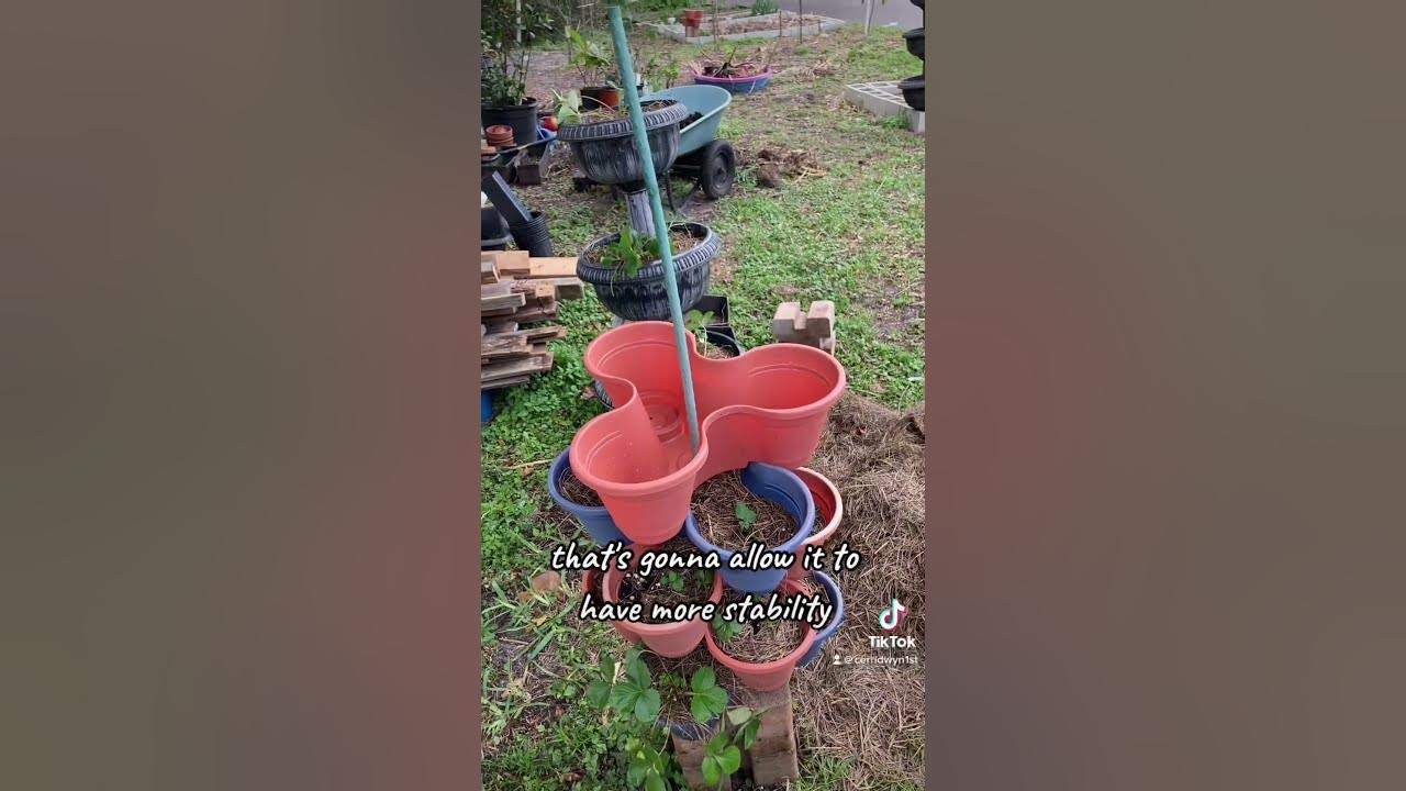 The best way to use Dollar Tree stacking planters - YouTube