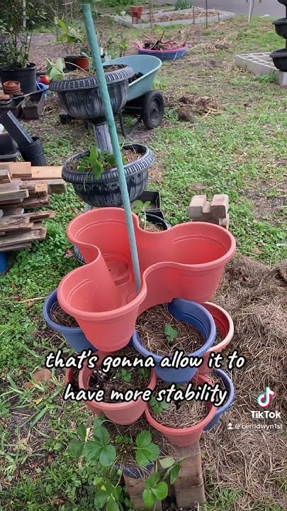The best way to use Dollar Tree stacking planters - YouTube