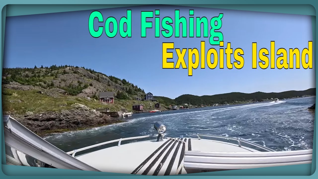 Resettled Community Exploits Island For Cod Fishing and Discuss Our ...