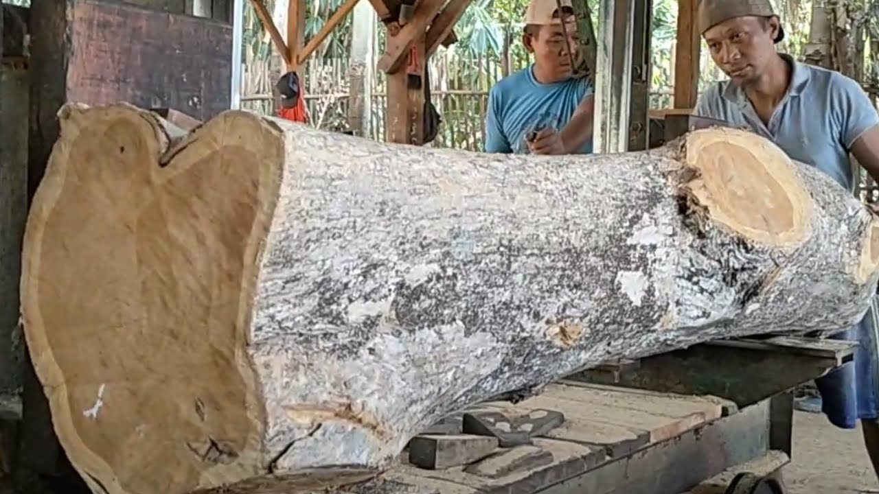 the process of sawing curved wood into blocks and sheets - YouTube