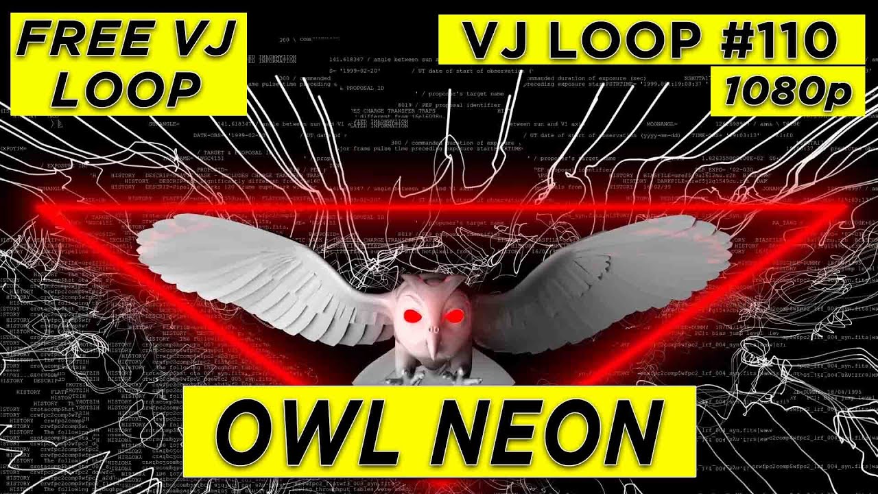 FREE VJ LOOP OWL NEON 1080p - YouTube