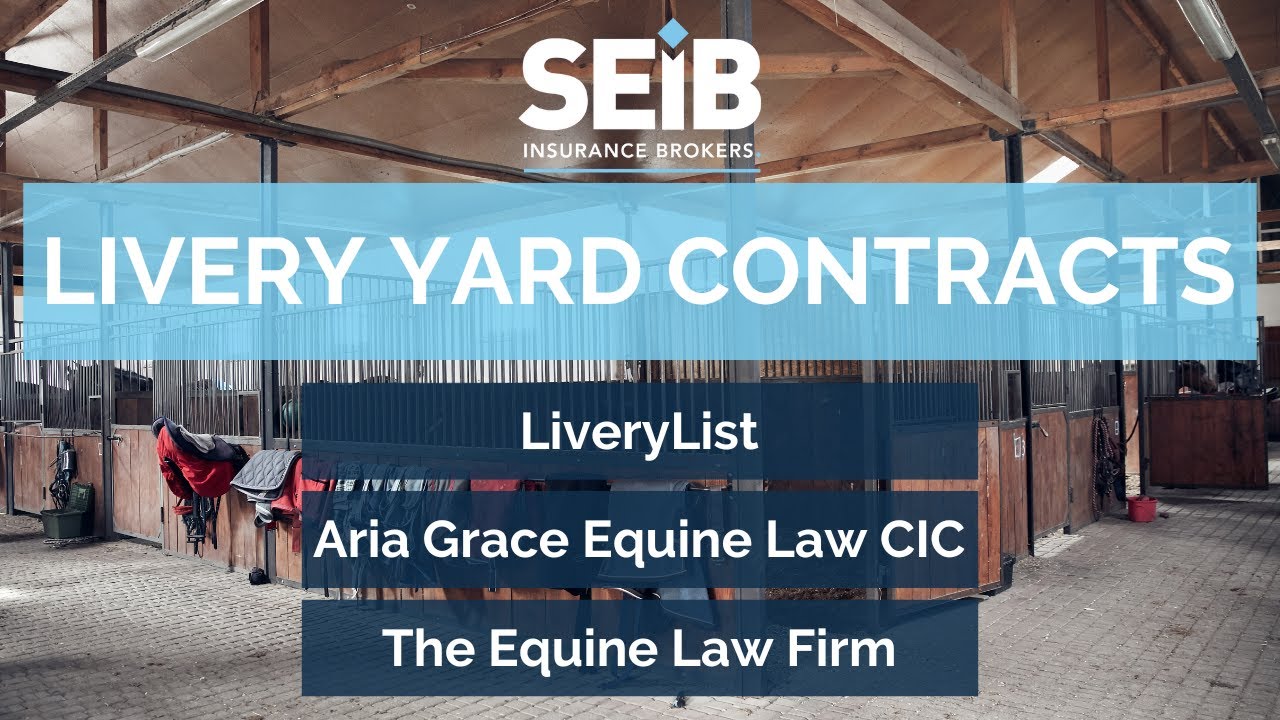 The Importance of Livery Yard Contracts - YouTube