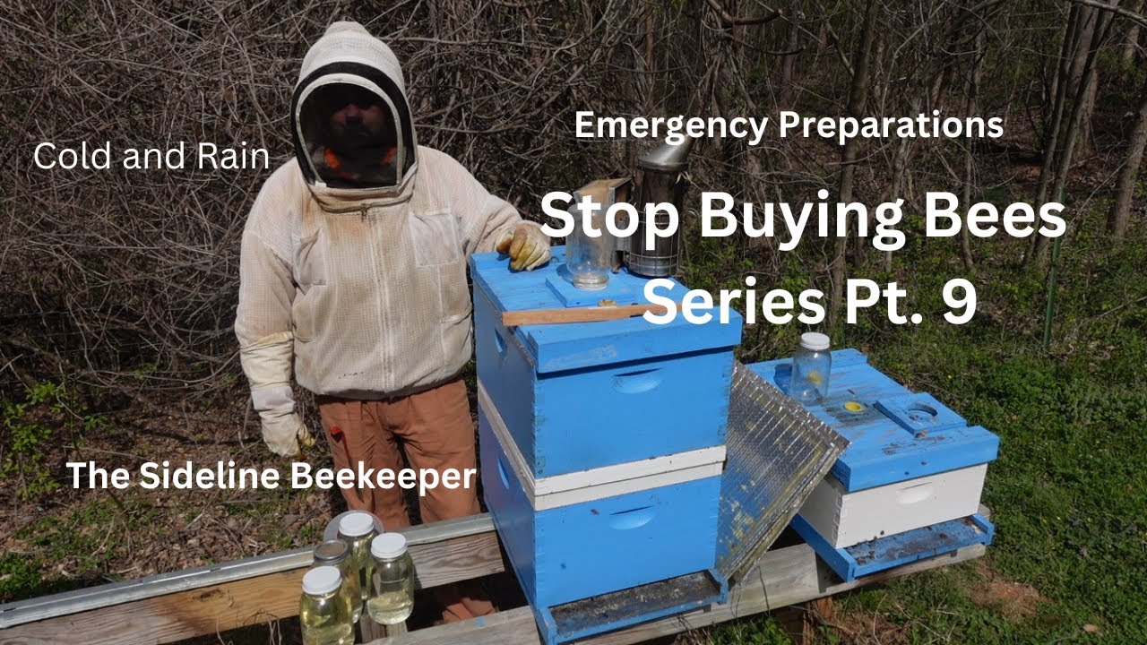Beekeeping: Stop Buying Bees Pt.9 Emergency Preparations - YouTube