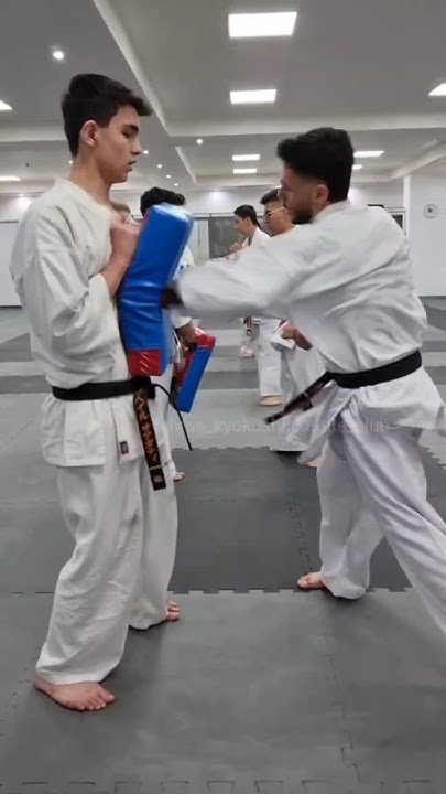 #kyokushin #shinkyokushin #karate #martialarts #shorts #shortsvideo ...