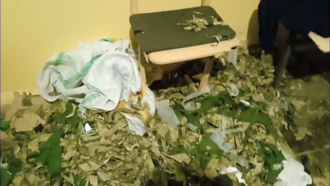 МАСКСІТКА ГІМНАЗІЇ - YouTube