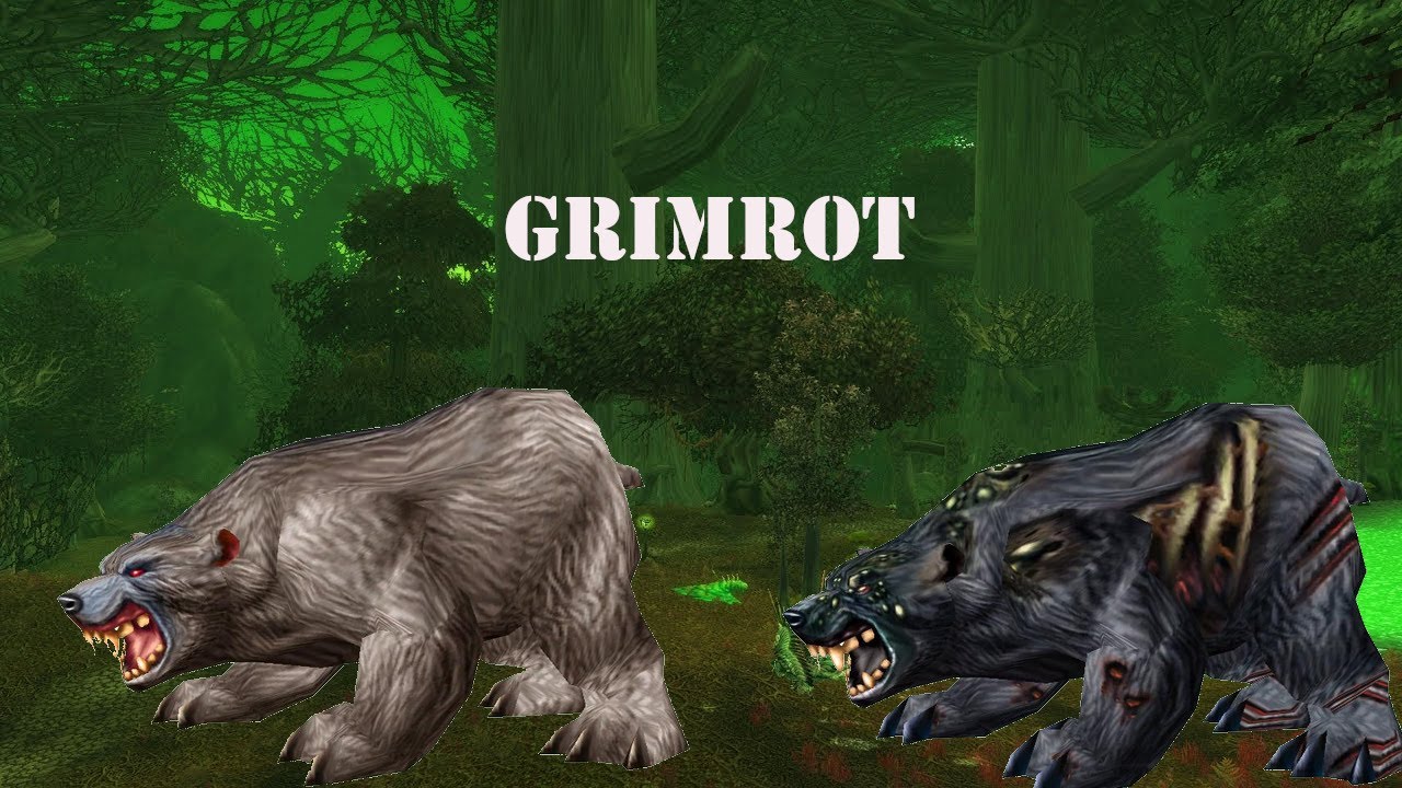 Fantastic WOW pets and where to find them [GRIMROT] - YouTube