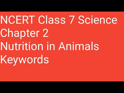 NCERT class 7 science chapter 2 keywords nutrition in animals - YouTube