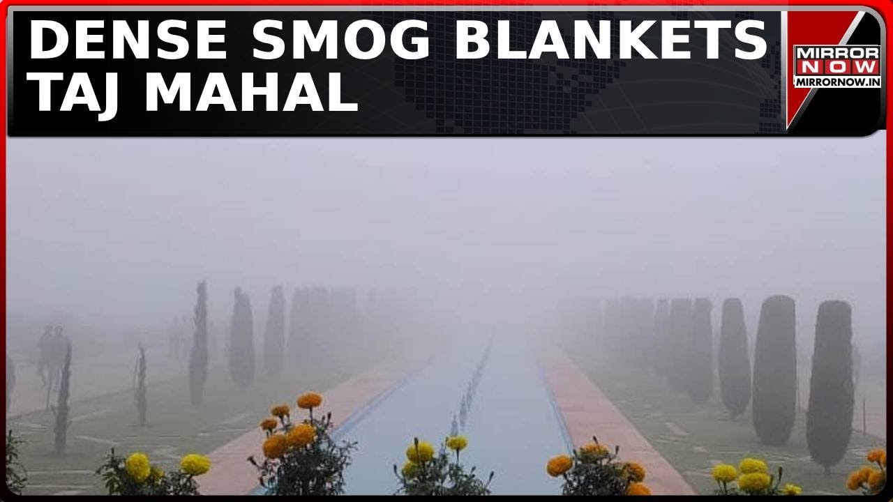 Dense Smog Blankets Taj Mahal | Delhi Faces Severe Smog As Stubble ...