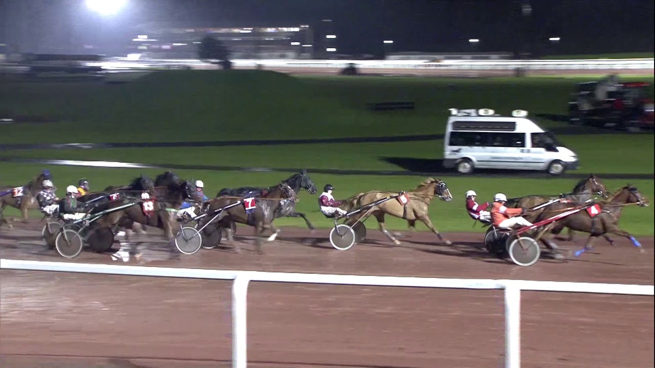 Horse & Race - week 51 - 2019 - YouTube