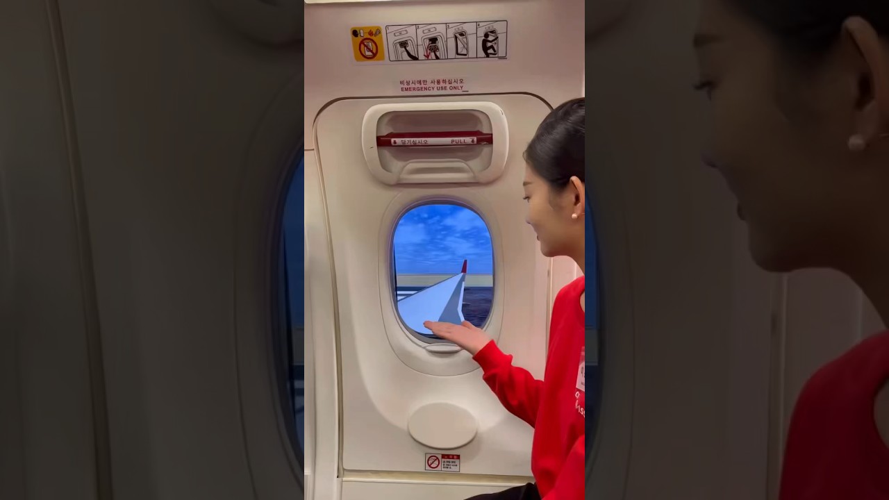 [한/빛/나/래] 🌟국립 한국교통대학교 항공서비스학과🌟| T-crew class | 현장실습 | #shorts | #쇼츠 ...