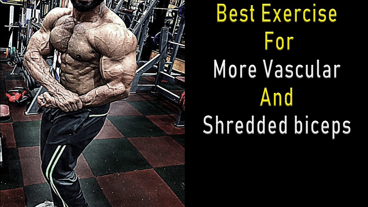 Best Exercise for More vascular and shredded biceps 💪 - YouTube