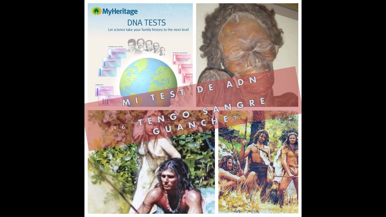 TEST DE ADN DE UN CANARIO ¡ TENGO SANGRE GUANCHE ! DNA TEST MAN FROM ...