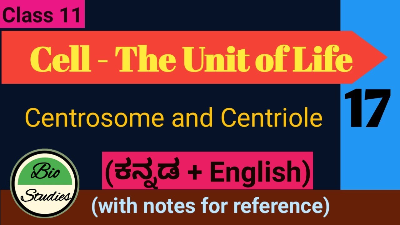 Class 11 - Cell - The Unit of Life- 17 - Centrosome and Centriole - YouTube