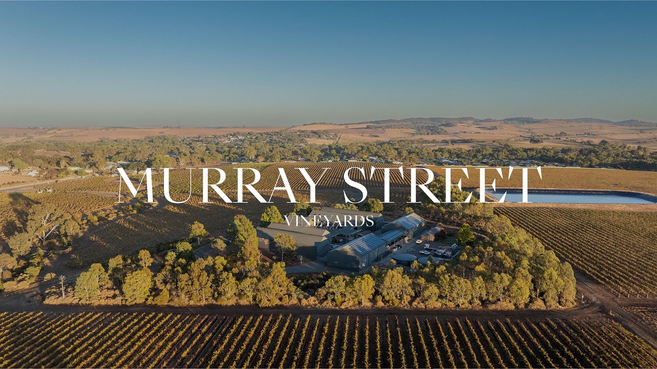 Murray Street Vineyards - YouTube