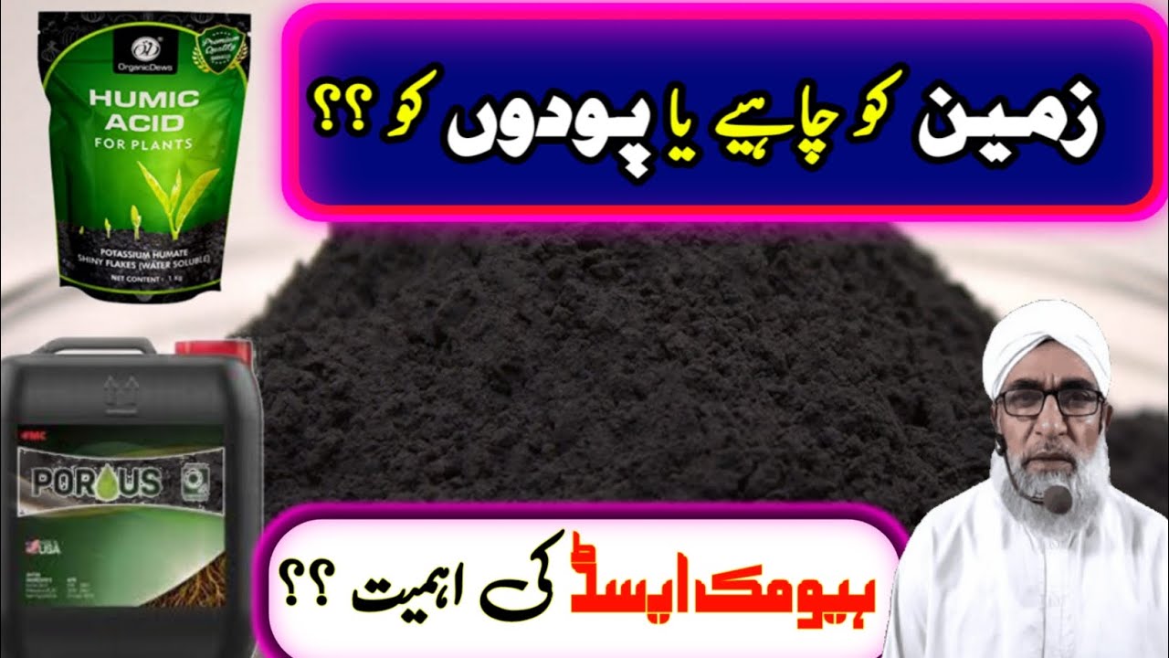 Advantage of Humic acid to plants..||Organic fertilizer|| - YouTube