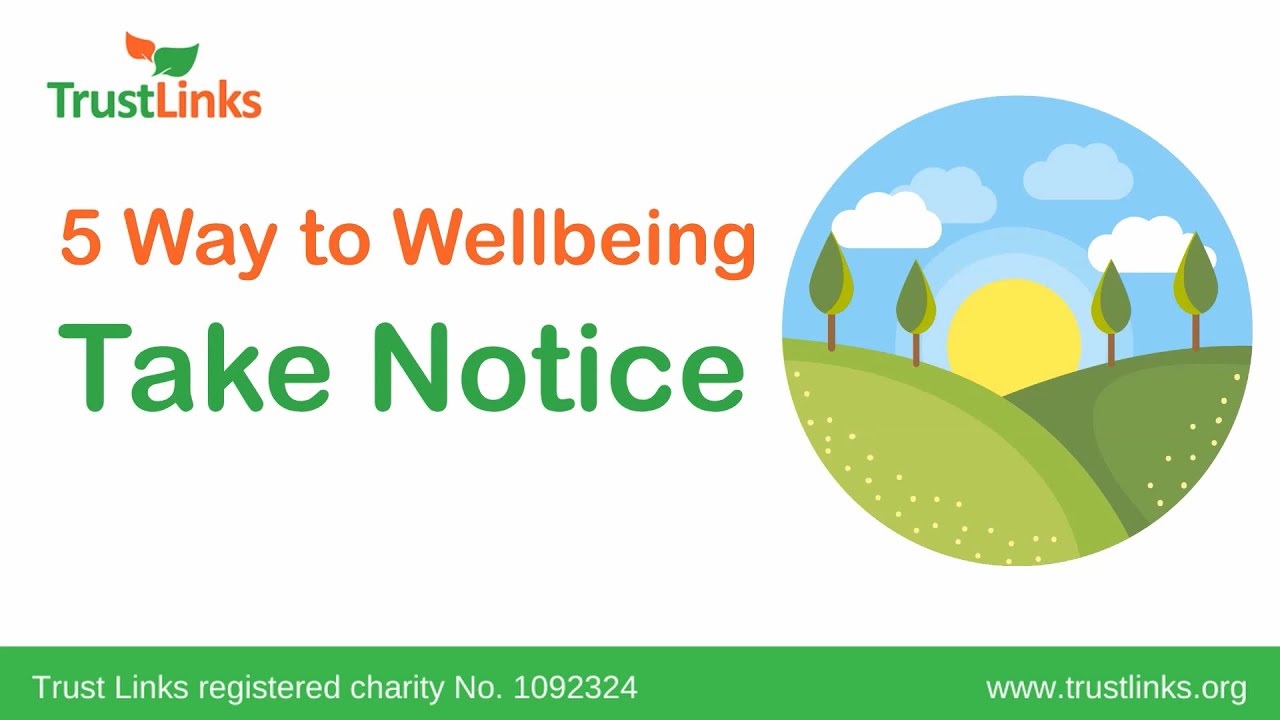 5 Ways to Wellbeing - Take Notice - YouTube