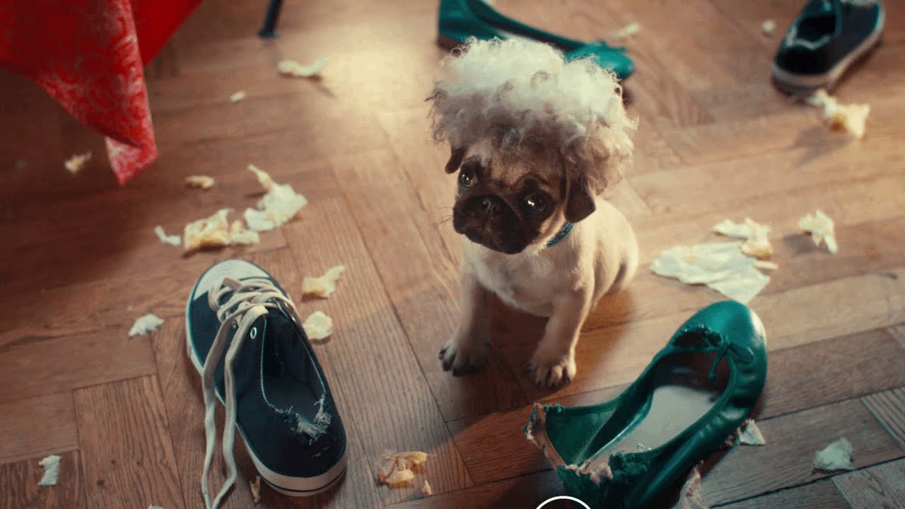 T-MOBILE TV commercial – MORE DATA - YouTube