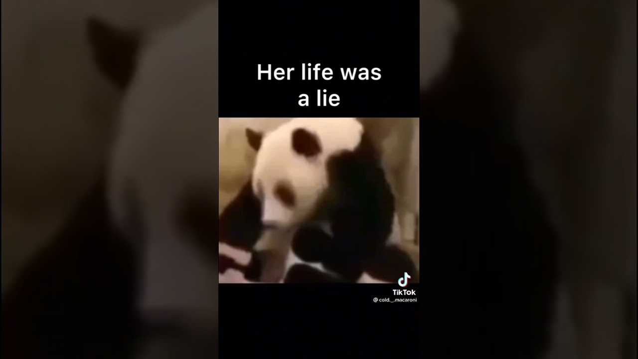 Pandaman meme - YouTube