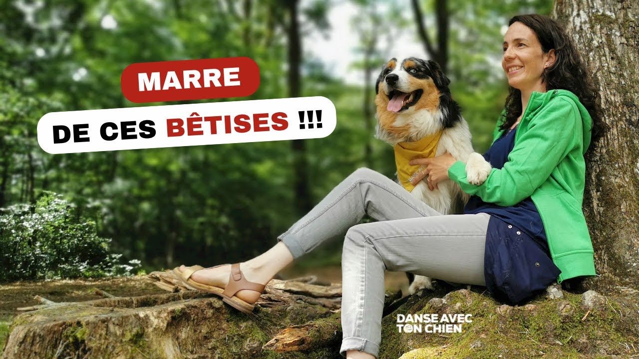 Comment faire avec un chien tres peureux et craintif ? - YouTube