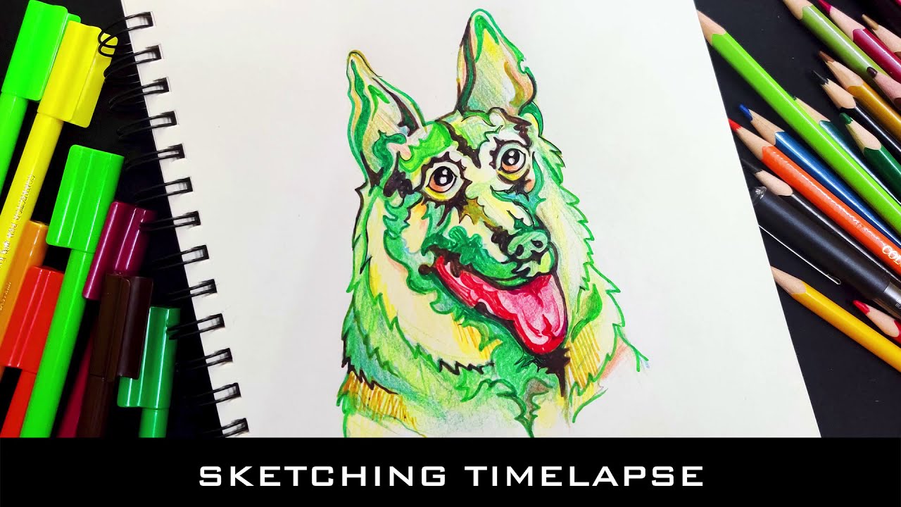 How to draw Dog || Dog Drawing Time-lapse || Cool Colors - YouTube