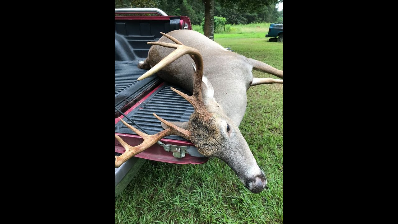 1st buck of 2020 season. - YouTube