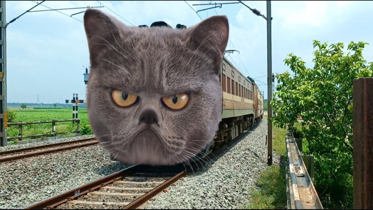 Dangerous CAT Headed Malda Town Intercity Express Furious Skipped At ...