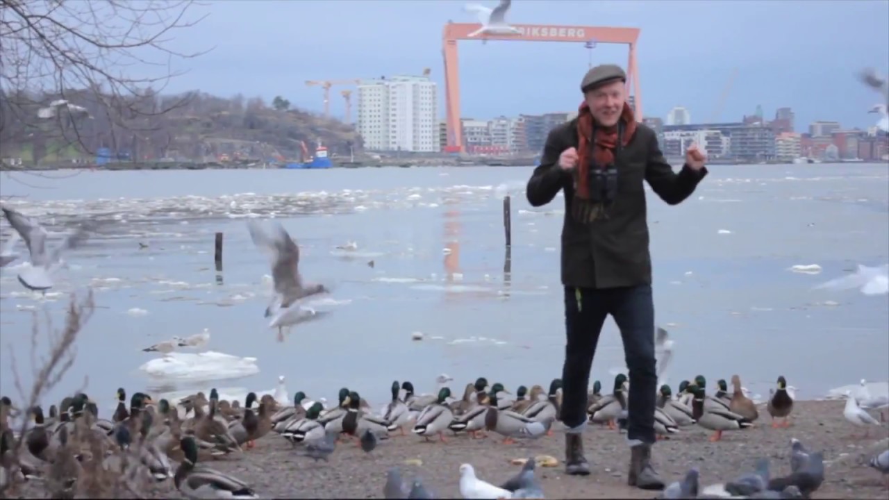 Axel Sondén & Flyttfåglarna Introfilm - YouTube