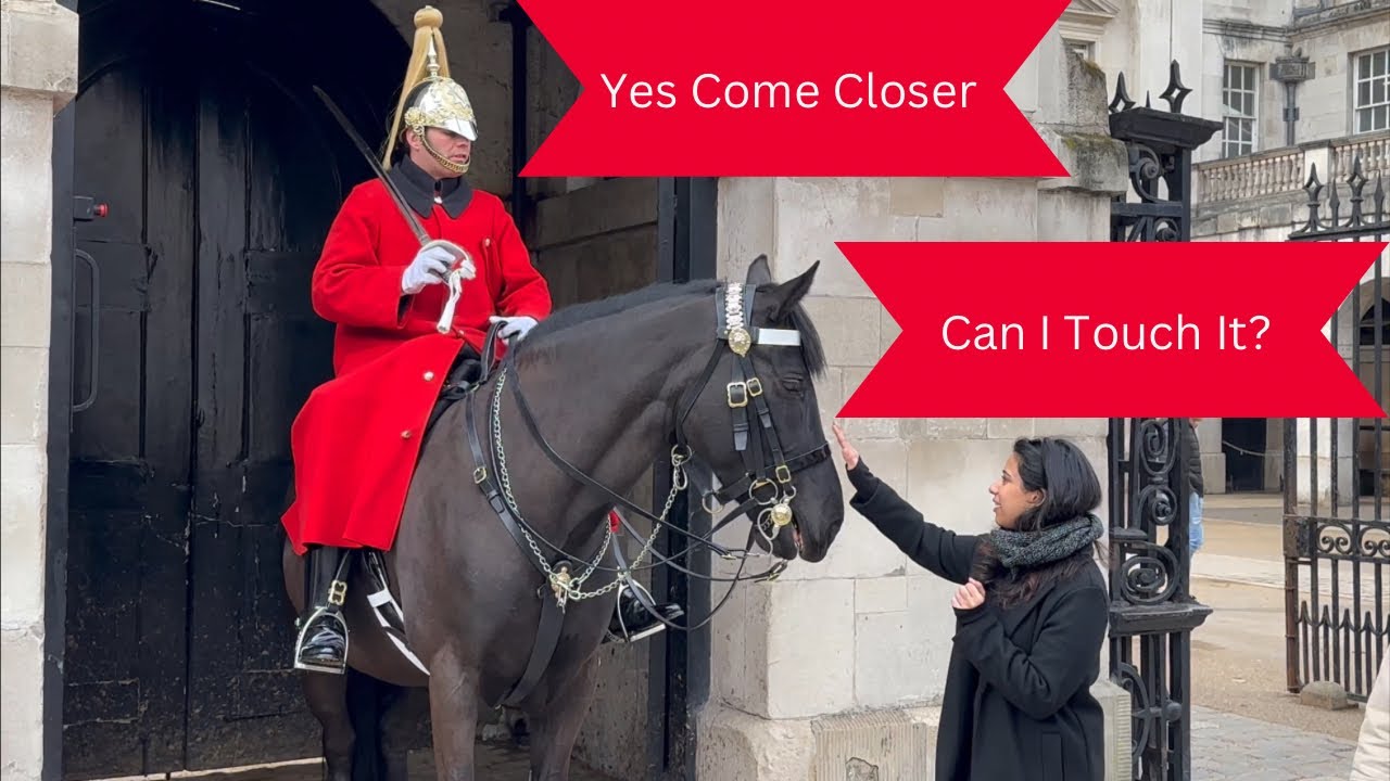 Come Closer, Never Heard a Guard Say This Before 🙂 - YouTube