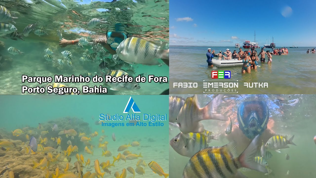 Parque Marinho do Recife de Fora, Porto Seguro, Bahia - YouTube