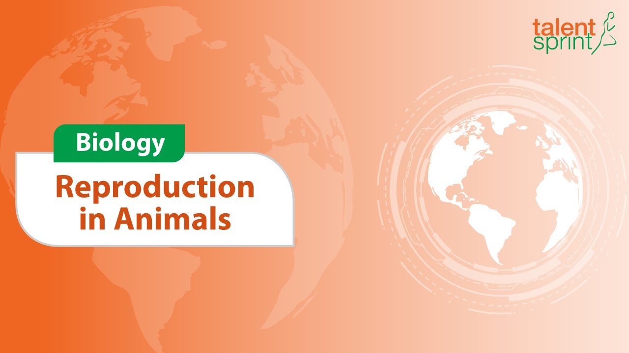 Reproduction in Animals | Biology | General Awareness | TalentSprint ...