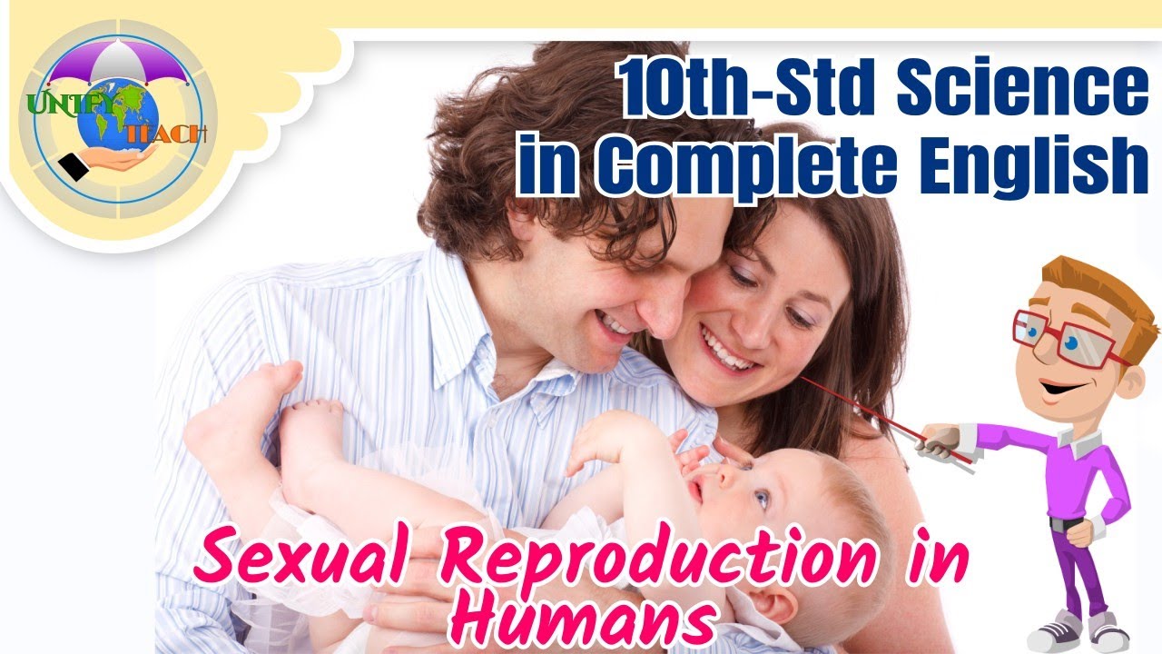 10th Std | Science | Unit-17 | 17.7 | Sexual Reproduction in Human ...
