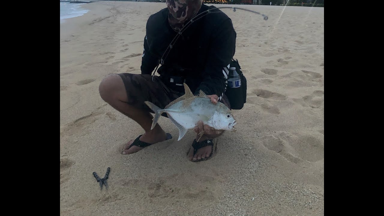 White Papio (GT) on the Yamaga Blanks Blue Current 74 II - YouTube