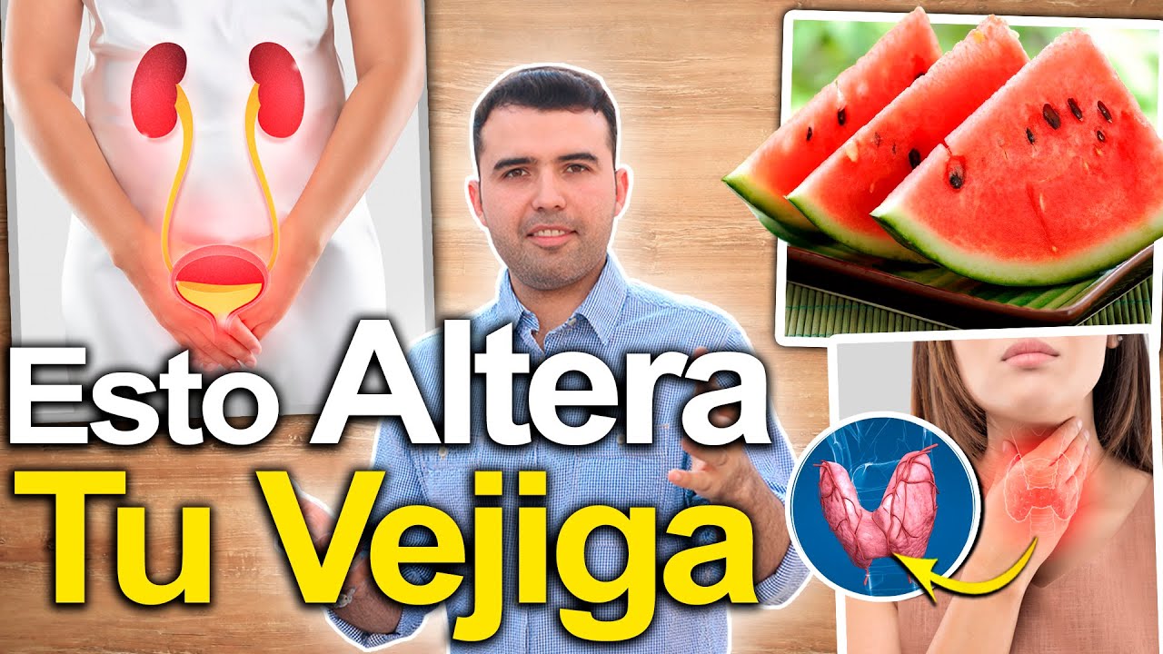 6 CAUSAS DE VEJIGA HIPERACTIVA - Como Solucionarlo - YouTube