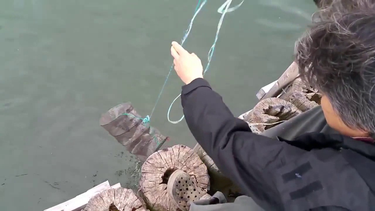 amazing fish trap in sea #001 - YouTube