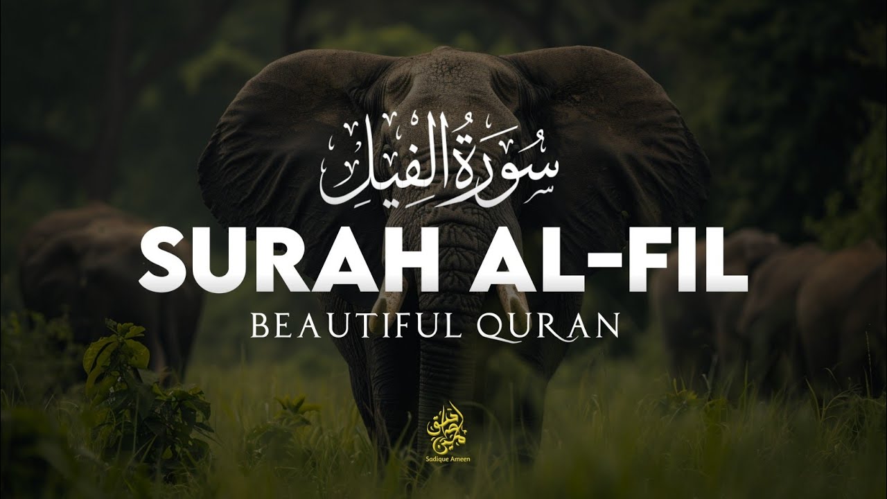 Surah Al Feel (Fil) | Beautiful Recitation of Surah Al Feel| surah Feel ...