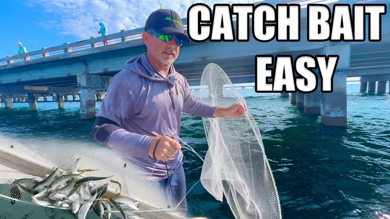 How To Catch Bait In Tampa Bay Without A Cast Net: The Bally Hoop Net ...