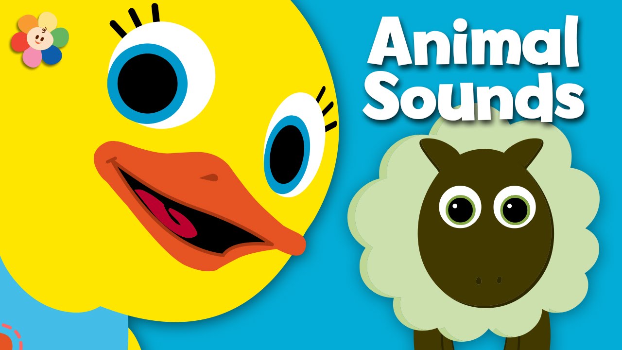 Learn Animals | Tillie the Duck | BabyFirst TV - YouTube