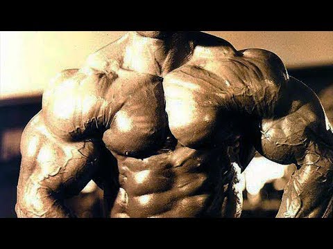 THE MIND IS THE STRONGEST MUSCLE - FLEX WHEELER MOTIVATION