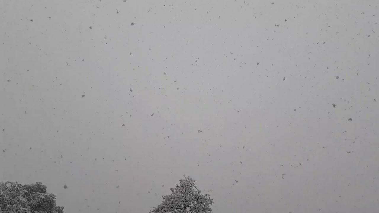 Heavy snowfall at Ranikhet, Chaubattiya - YouTube