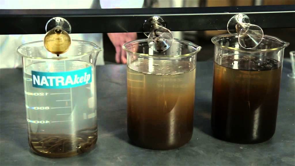 NatraKelp delivers real growing power to plants and animals - YouTube