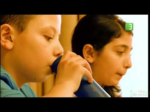 MBC3 (Arabia) - Continuity - (1/1/2026)