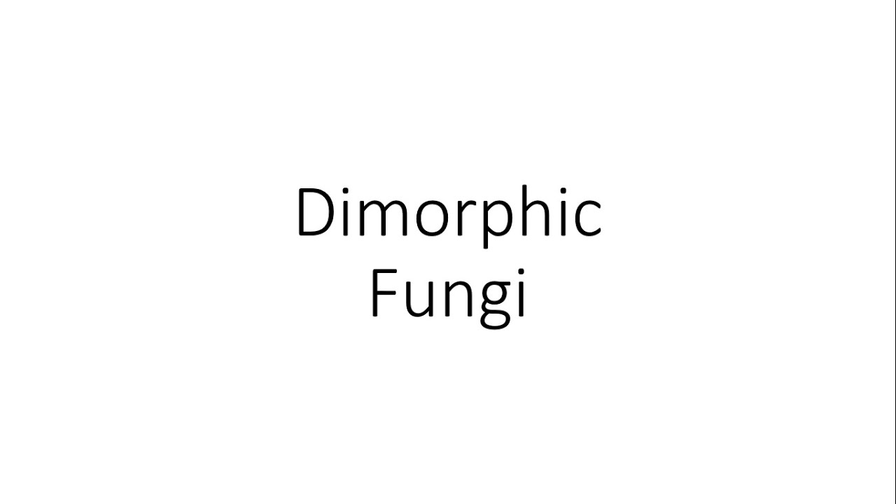 Dimorphic Fungi - Microbiology - YouTube