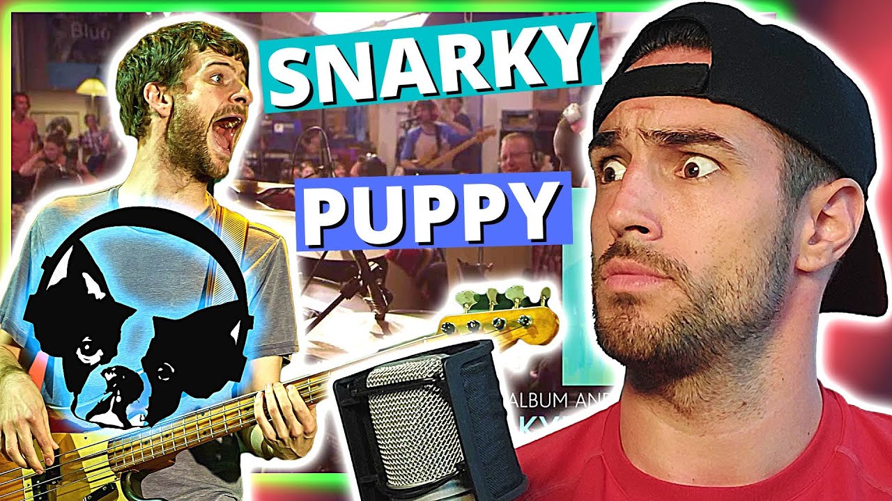 Snarky Puppy - What About Me? (We Like It Here) - REACTION! - YouTube