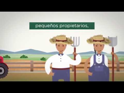 ¿Qué es la Procuraduría Agraria? - YouTube