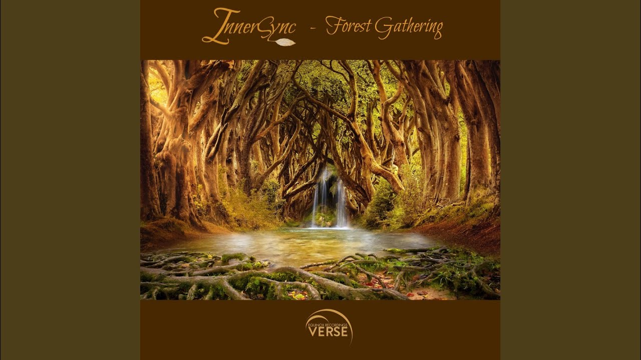 Forest Gathering - YouTube