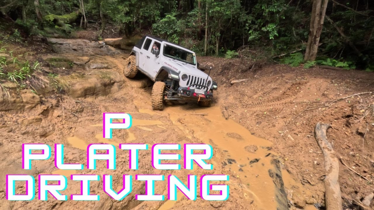 Letting The P PLATER DRIVE! | Glass House Mountains - YouTube