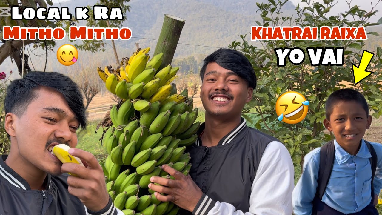 Gau Ko Local K Ra Katda Yesto Ramailo Vayo 😍 - YouTube