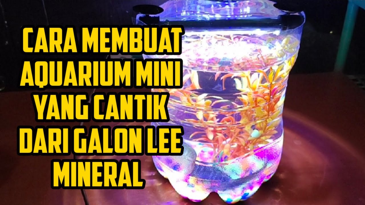 Membuat aquarium mini yang cantik dari galon lee mineral yang berukuran ...