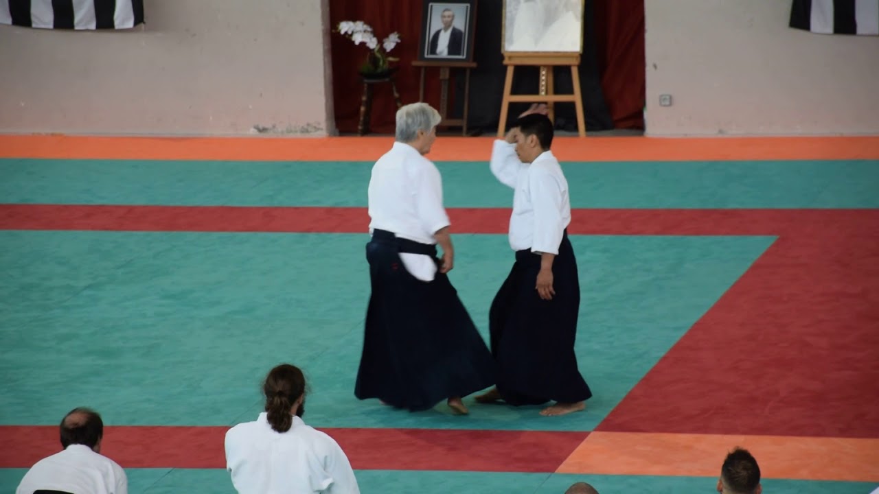 Stage Aikido YAMADA sensei à Lesneven 2018 N°3 - YouTube