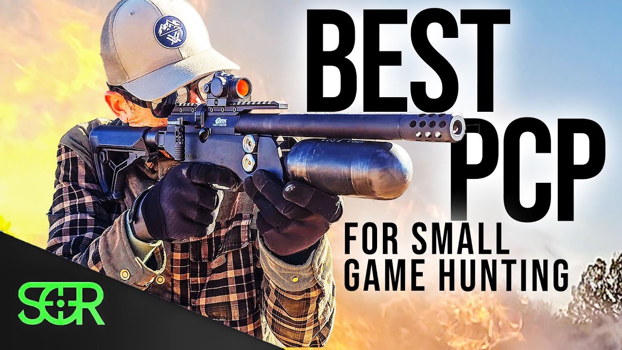 BEST HUNTING PCP for 2024 - SMALL GAME - BRK Pathfinder .22 REVIEW ...